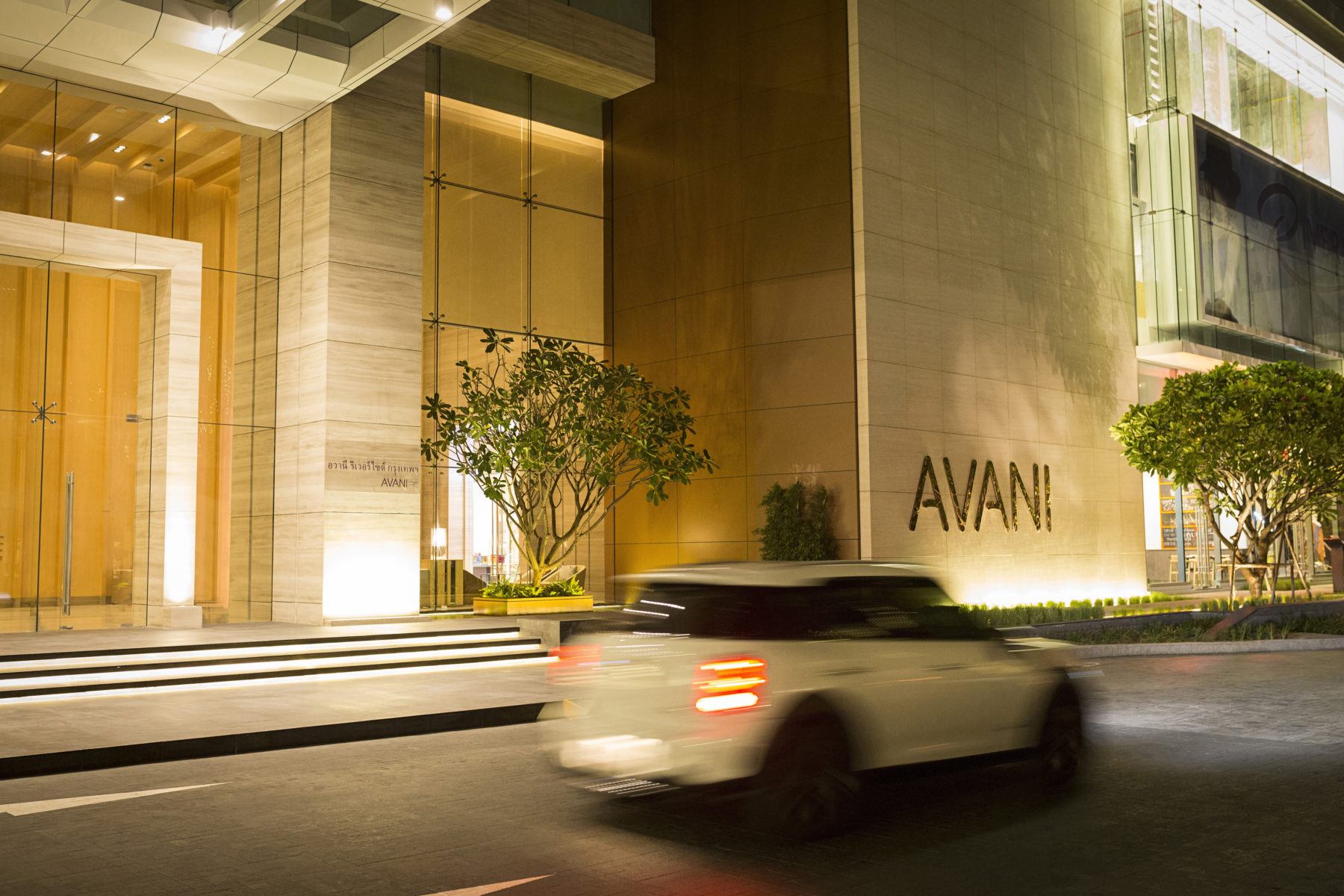 Avani – Steve Lucker